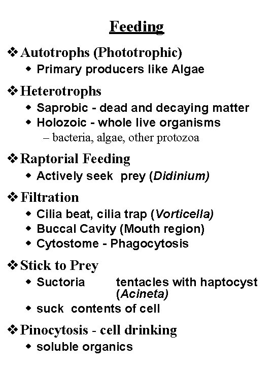 Protozoa Objective w To know the basic cytology