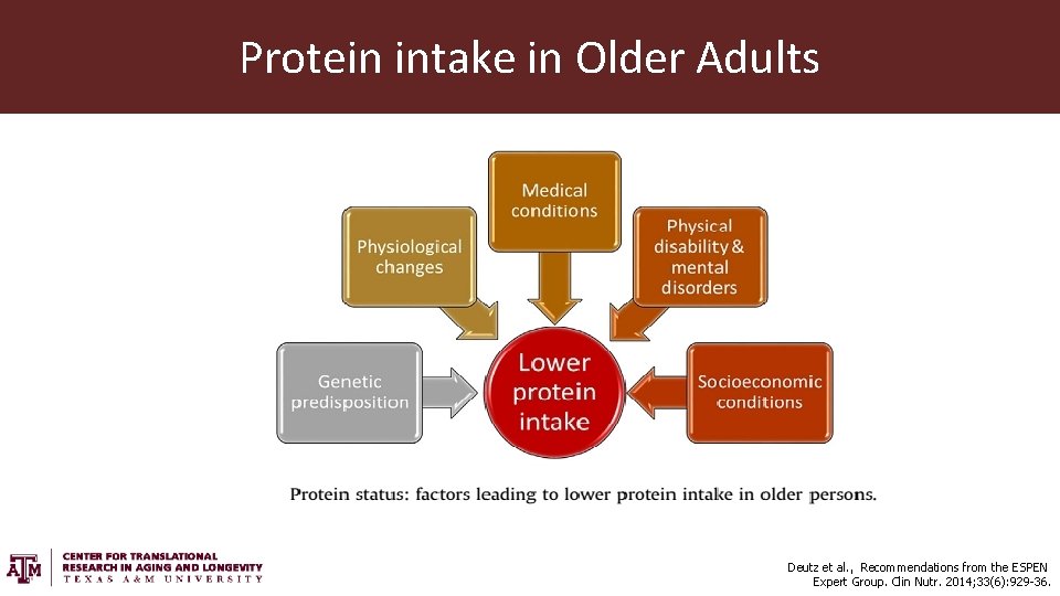 The Importance of Lean Body Mass Muscle in