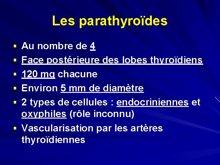 Anatomiephysiologie de la glande thyrode et des parathyrodes