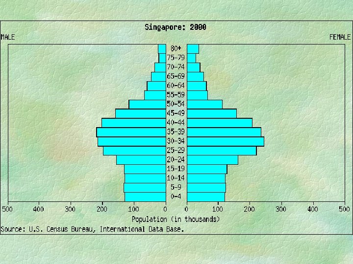 POPULATION PYRAMIDS Objectives WHAT is a population pyramid