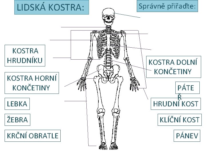 LIDSK TLO 3 RONK Tento Digitln uebn materil