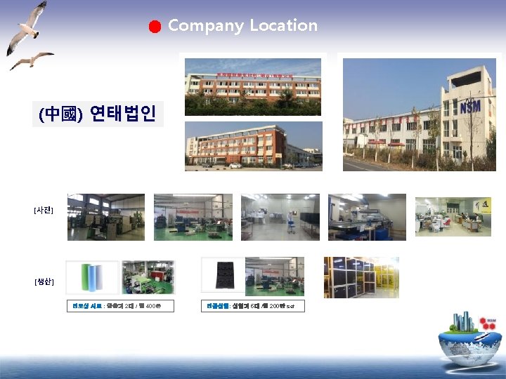 Global version NSM Nano Smart Material Company Information