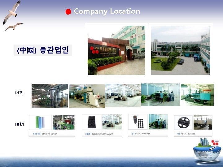 Global version NSM Nano Smart Material Company Information