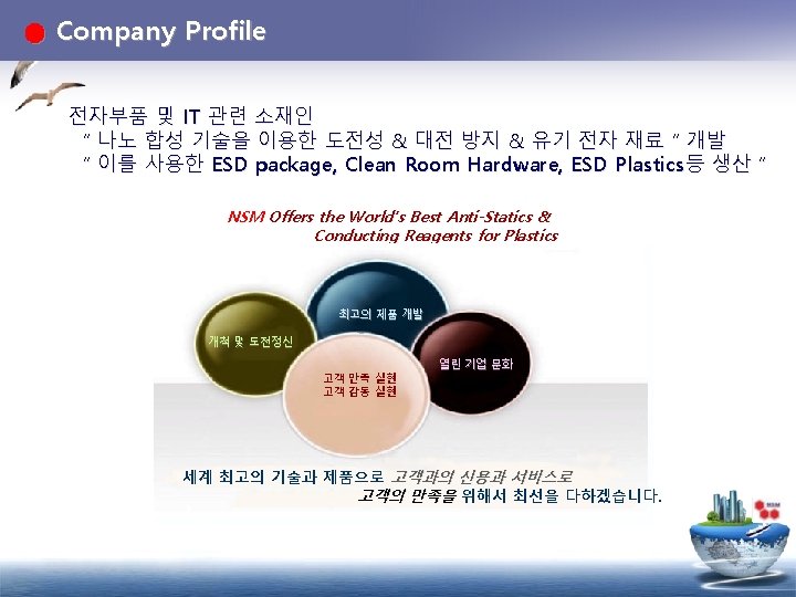 Global version NSM Nano Smart Material Company Information