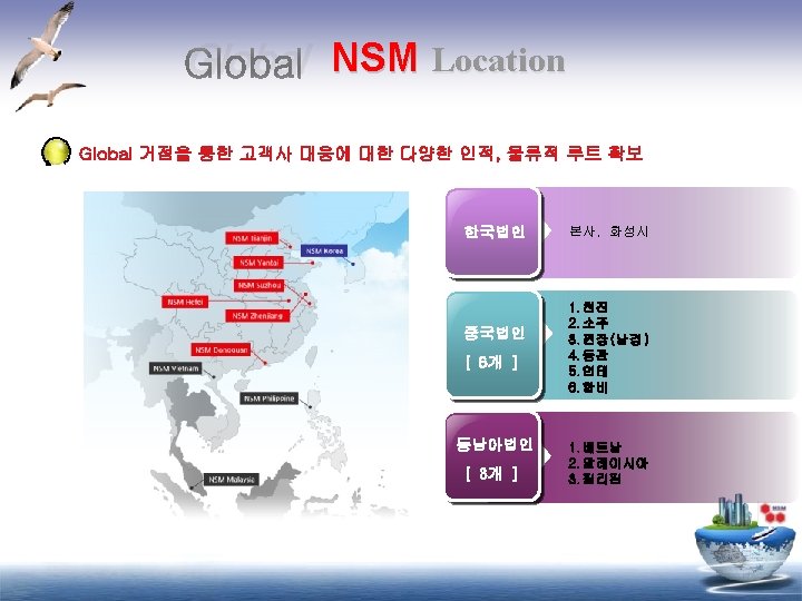 Global version NSM Nano Smart Material Company Information