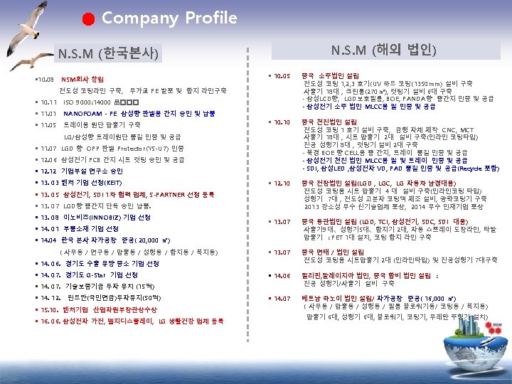Global version NSM Nano Smart Material Company Information