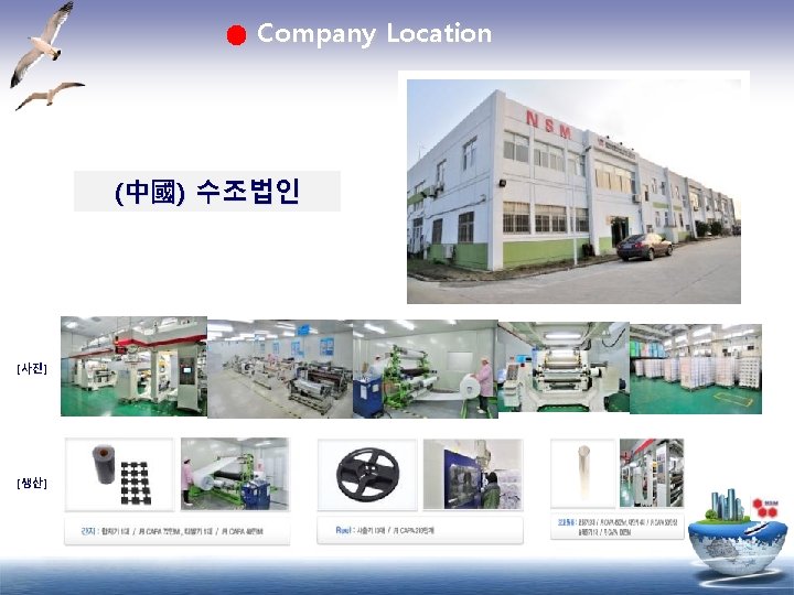 Global version NSM Nano Smart Material Company Information