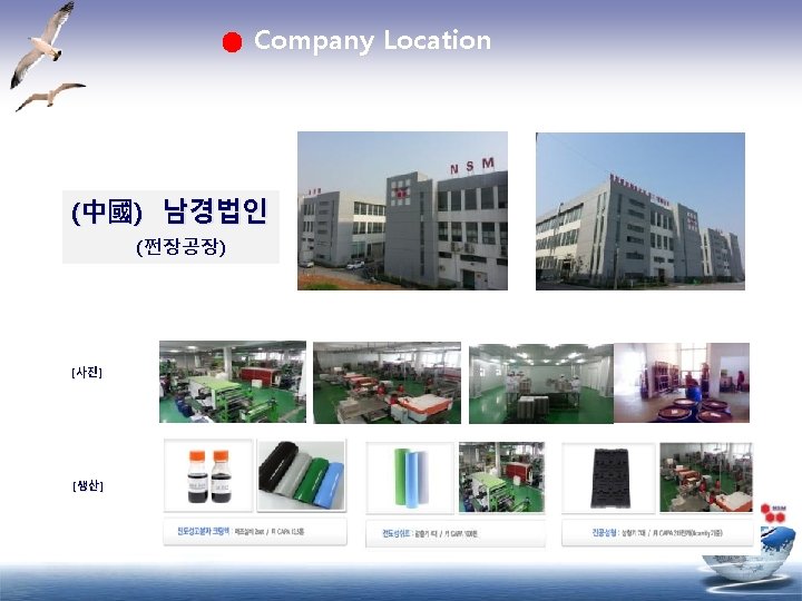 Global version NSM Nano Smart Material Company Information