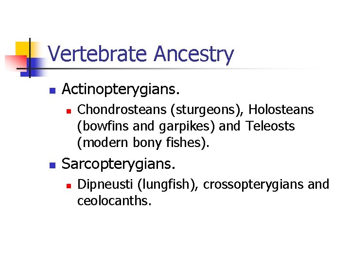 Vertebrate Origins Vertebrates are but a single subphylum