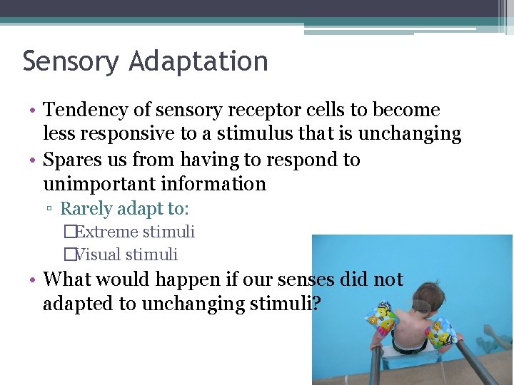 The ABCs of Sensation and Perception Review of