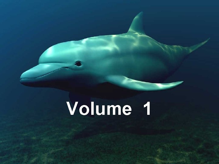 INTRODUCTION TO ICD International Statistical Classification of Diseases