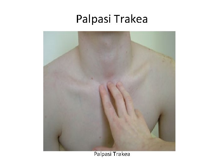 PEMERIKSAAN FISIK TORAKS Ani Sutriningsih Teknik Pemeriksaan Fisik