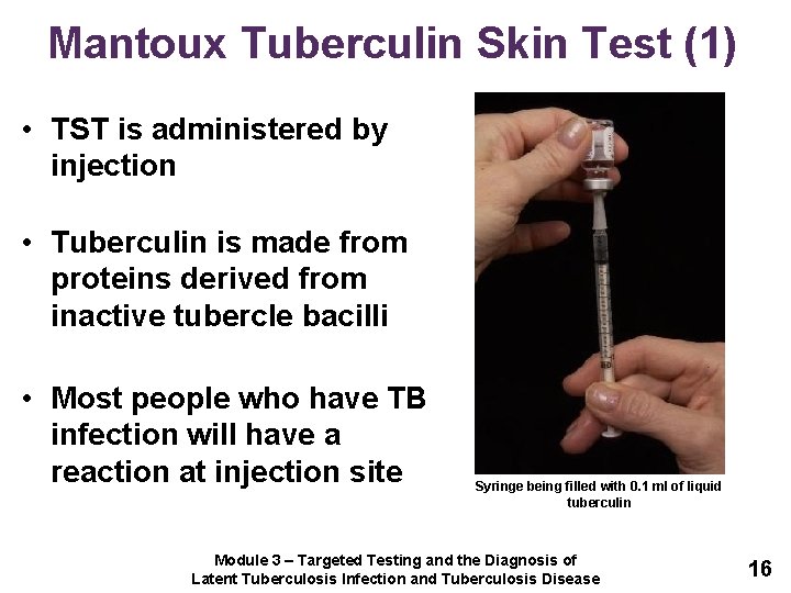 SelfStudy Modules on Tuberculosis Targeted Testing and the