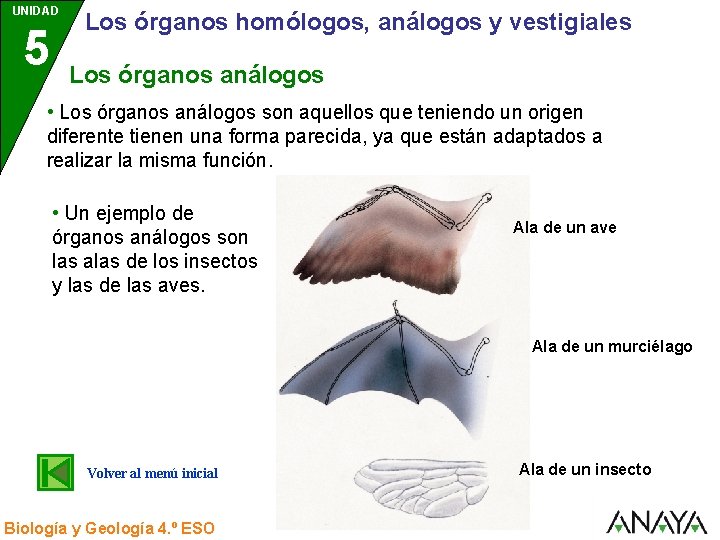 UNIDAD 5 El origen de la vida y