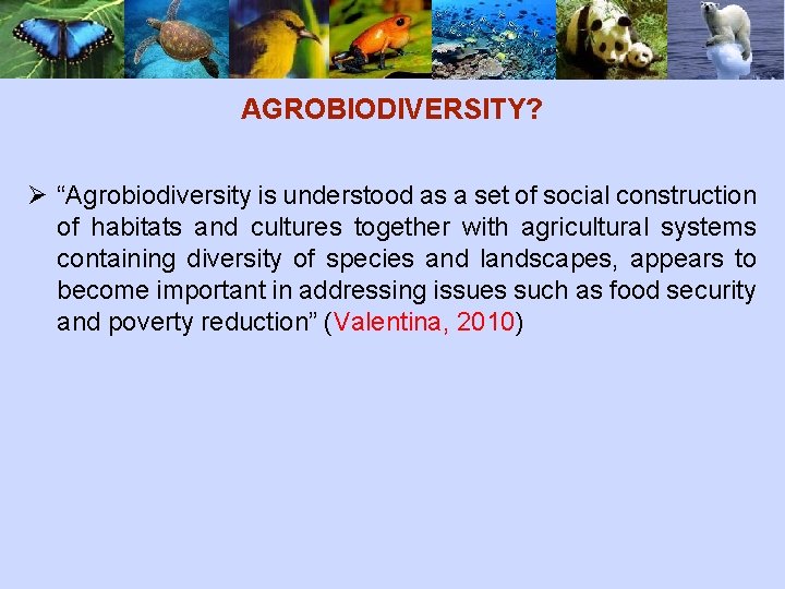 LINKING BIODIVERSITY PRESERVATION AND FOOD SECURITY Prof Dr