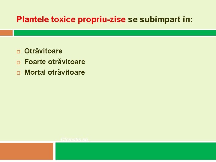 PLANTE TOXICE Semestrul IX 14 sptmni Prelegeri 14
