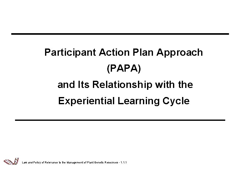 Participant Action Plan Approach PAPA and Its Relationship