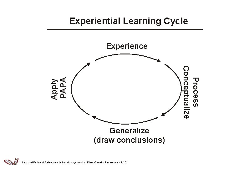 Participant Action Plan Approach PAPA and Its Relationship