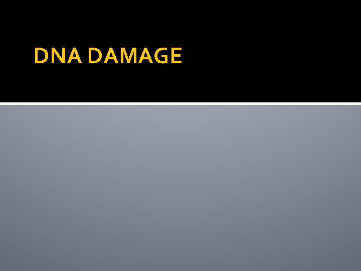 DNA damage repair and recombination MUTAGENESIS DNA DAMAGE