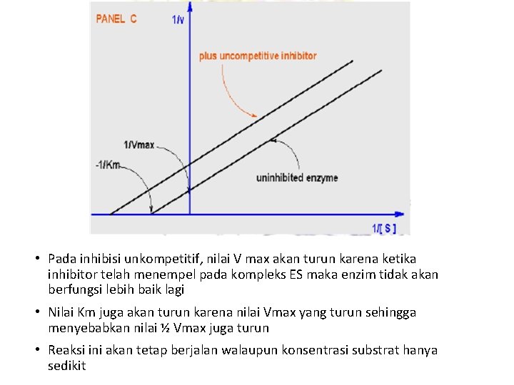 Inhibitor PERTEMUAN 11 dan 12 Adri Nora S