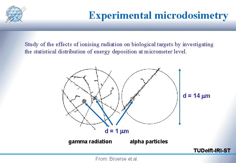A new TissueEquivalent Proportional Counter design M Farahmand