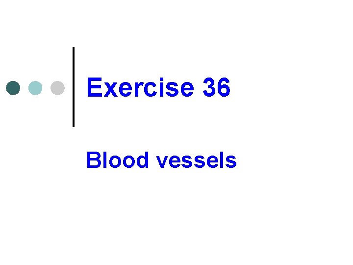 Exercise 36 Blood vessels The wall of the