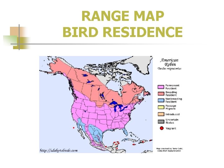 2020 ORNITHOLOGY BC KAREN LANCOUR National Bio Rules