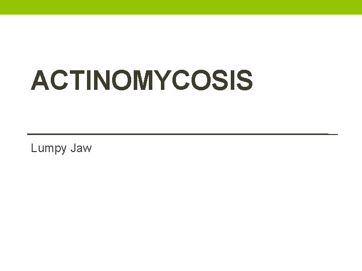 ACTINOMYCOSIS Lumpy Jaw Definition It is a chronic