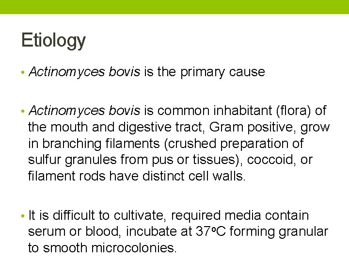 ACTINOMYCOSIS Lumpy Jaw Definition It is a chronic