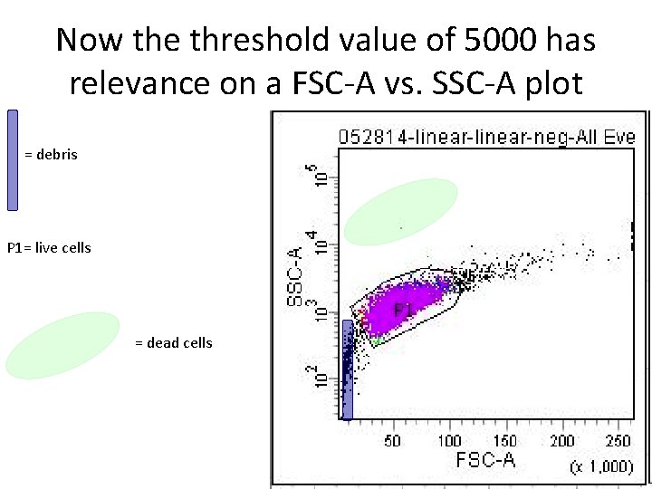 FSCA Scaling Area and Height of FSC pulses