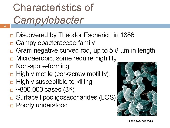 1 Campylobacter 2 3 Characteristics of Campylobacter Discovered