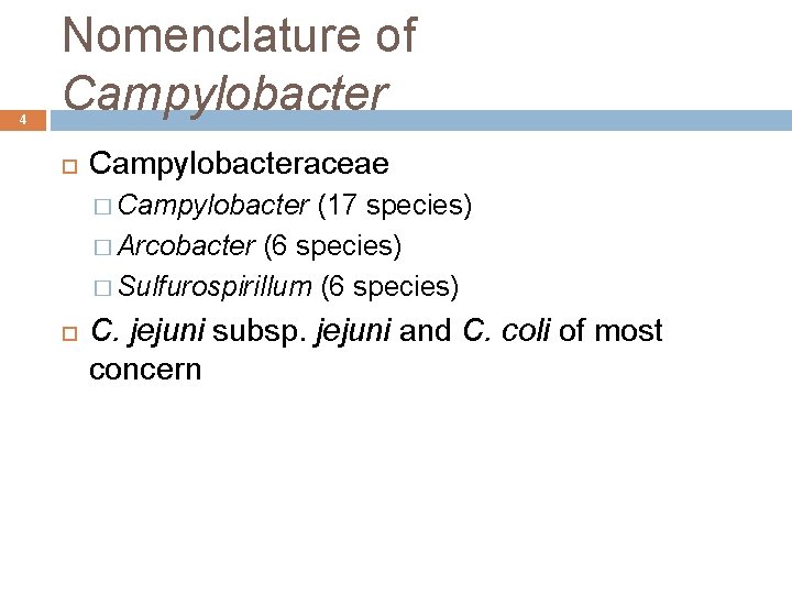 1 Campylobacter 2 3 Characteristics of Campylobacter Discovered