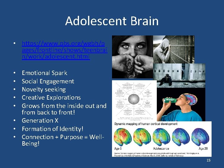 Adversity The Brain Behavior and Learning Dr Lori