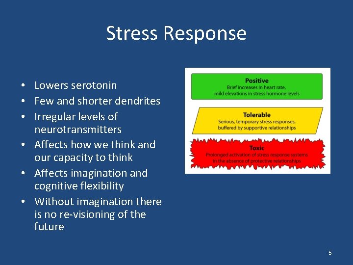 Adversity The Brain Behavior and Learning Dr Lori