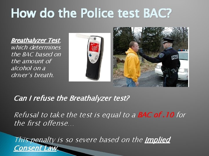 Day 6Chapter 6 Bell Ringer How does alcohol
