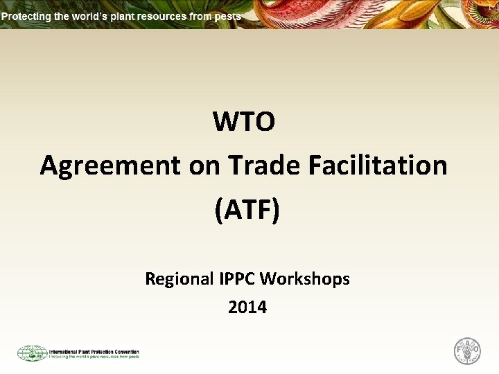 WTO Agreement on Trade Facilitation ATF Regional IPPC