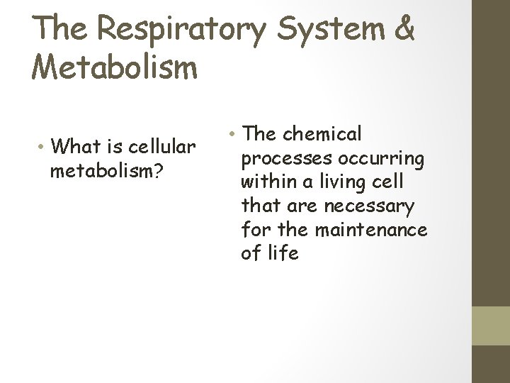Respiratory Muscular Skeletal Systems Specialized Tissues What are