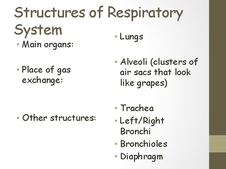 Respiratory Muscular Skeletal Systems Specialized Tissues What are