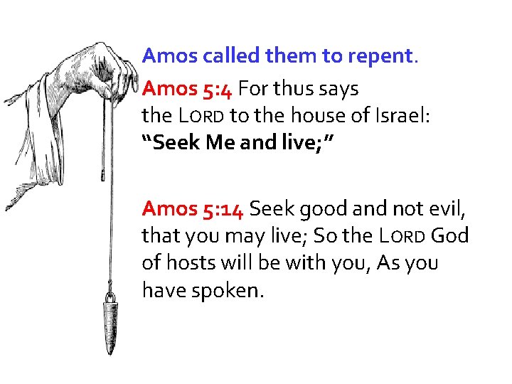 TEXT AMOS 7 7 9 7 Thus He