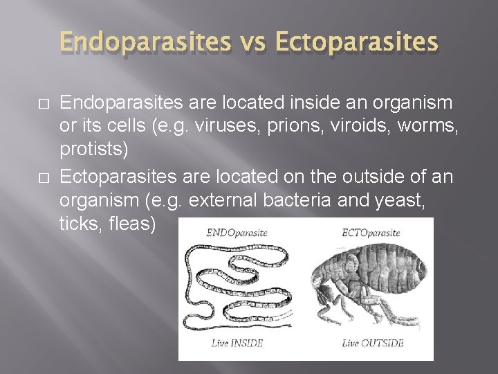 CHAPTER 7 INFECTION AND DISEASE WHAT IS DISEASE