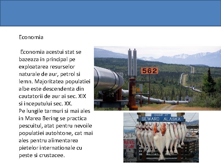 Alaska Taramul Frigului Pozitionare geografica Alaska este situata