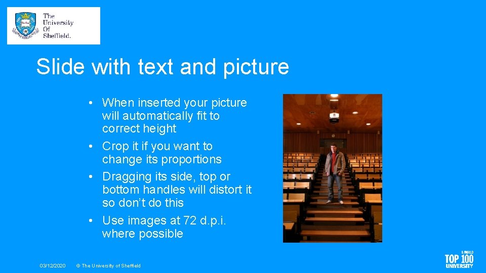 The University Power Point Template Examples and tips
