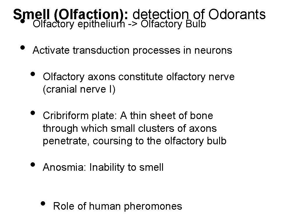 Smell Olfaction detection of Odorants Olfactory epithelium Olfactory