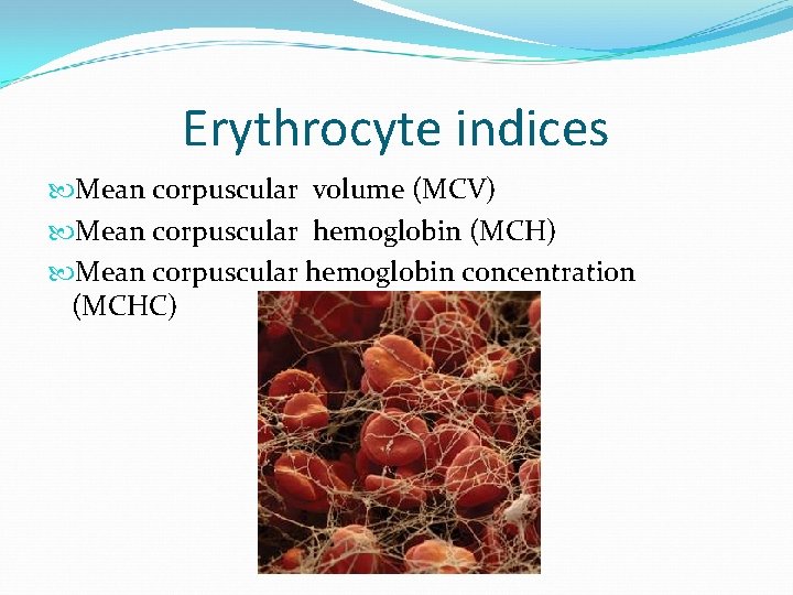 Composition of Blood Erythrocytes Most abundant cell in