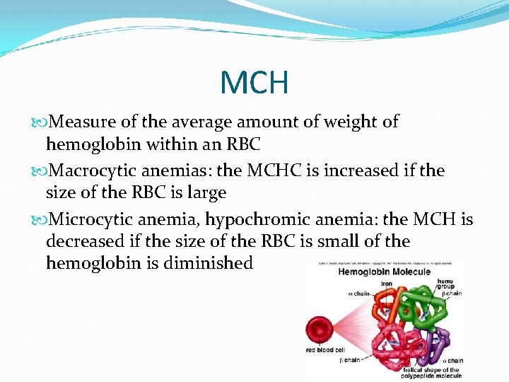 Composition of Blood Erythrocytes Most abundant cell in