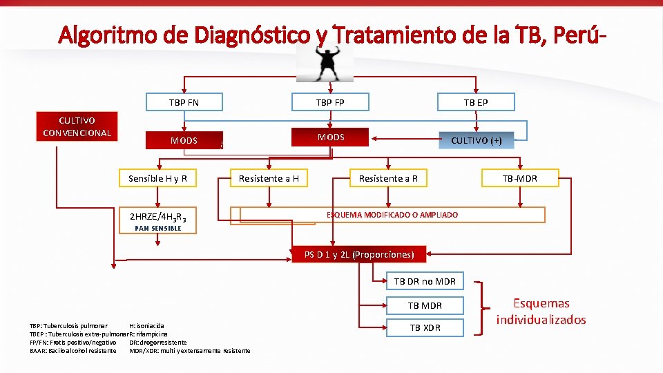 RED DE LABORATORIOS EN DIAGNOSTICO DE LA TUBERCULOSIS