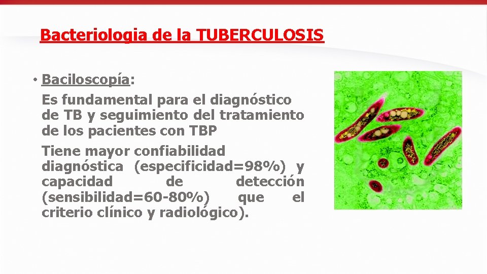 RED DE LABORATORIOS EN DIAGNOSTICO DE LA TUBERCULOSIS