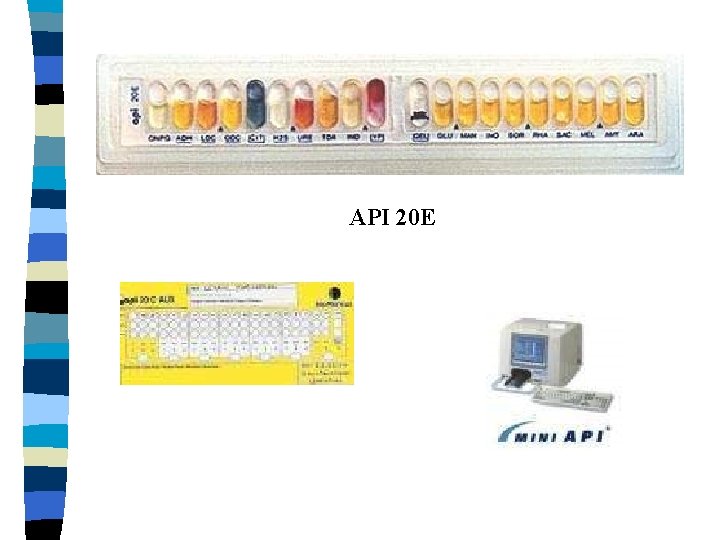 OGLNE ZASADY DIAGNOSTYKI MIKROBIOLOGICZNEJ Katedra i Zakad Mikrobiologii