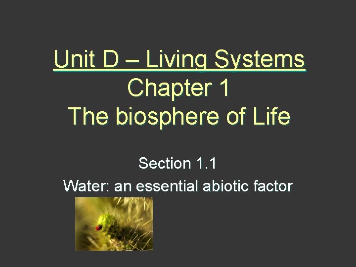 Unit D Living Systems Chapter 1 The biosphere