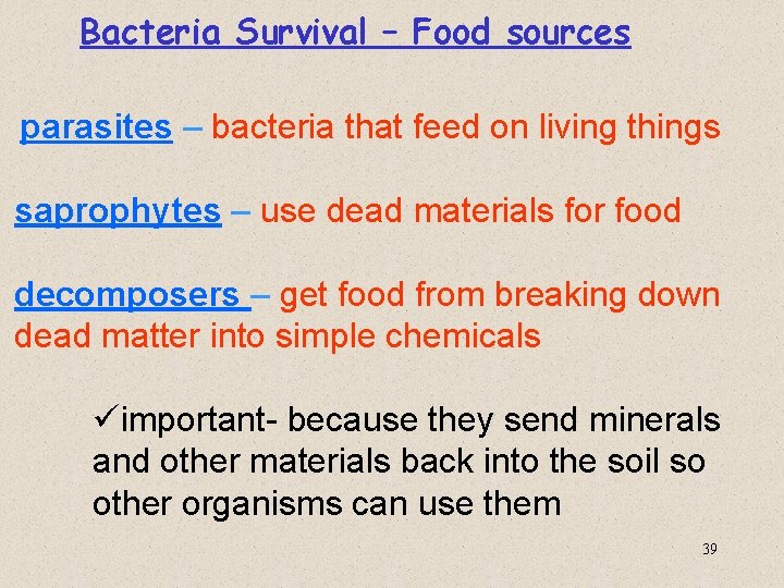 THE FIVE KINGDOMS 1 Bacteria Introduction to Bacteria